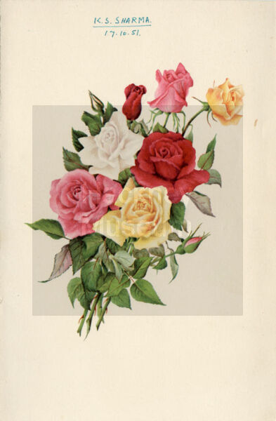 Menu: Gala Night on board the S.S. Chusan | Hackney Museum