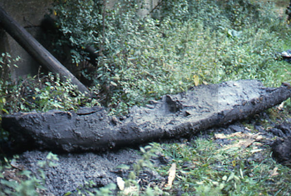 Logboat | Hackney Museum